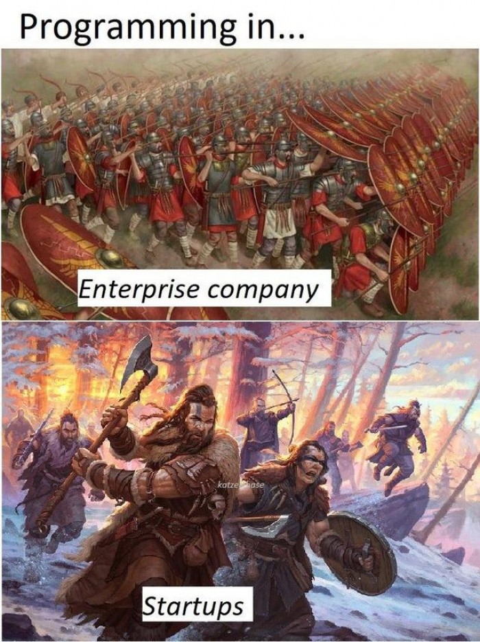 Enterprise Company Vs Startups Dev Jobs Enterprise Company Vs Startups Dev Jobs
